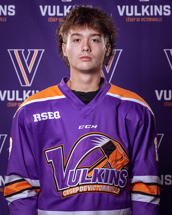 Hockey masculin D2