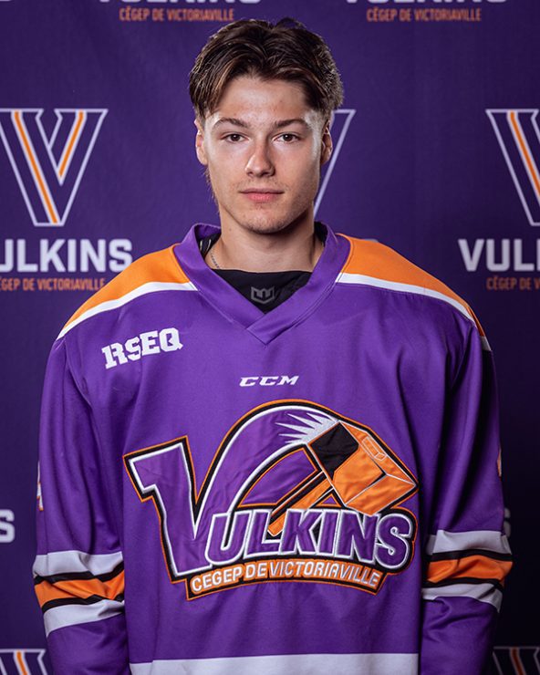 Hockey masculin D2